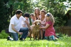 Family of Origin Challenges | Center for Mindful Therapy